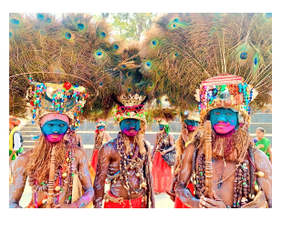 Gussadi dance | Catalyst IAS